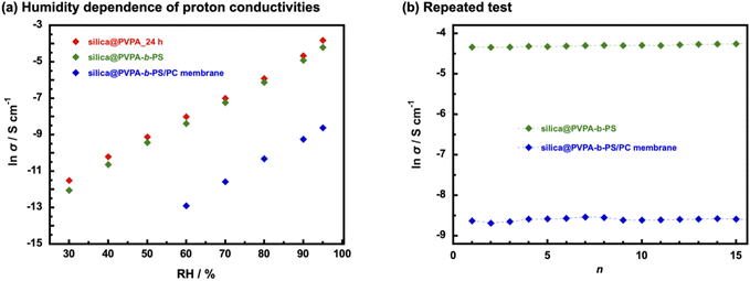Proton conductivity dependence on the surface polymer thickness of core ...
