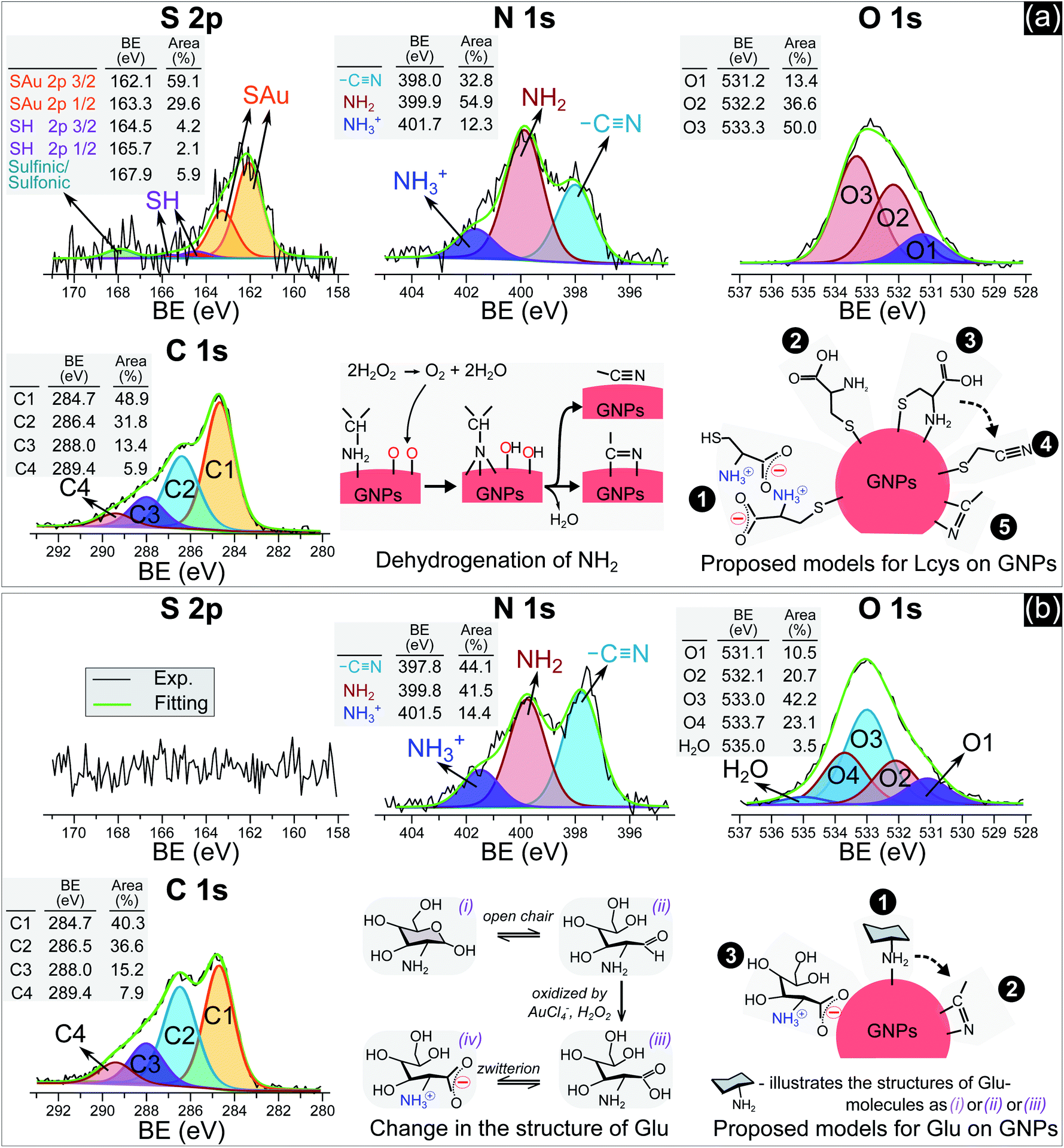 Precise size-control and functionalization of gold nanoparticles ...