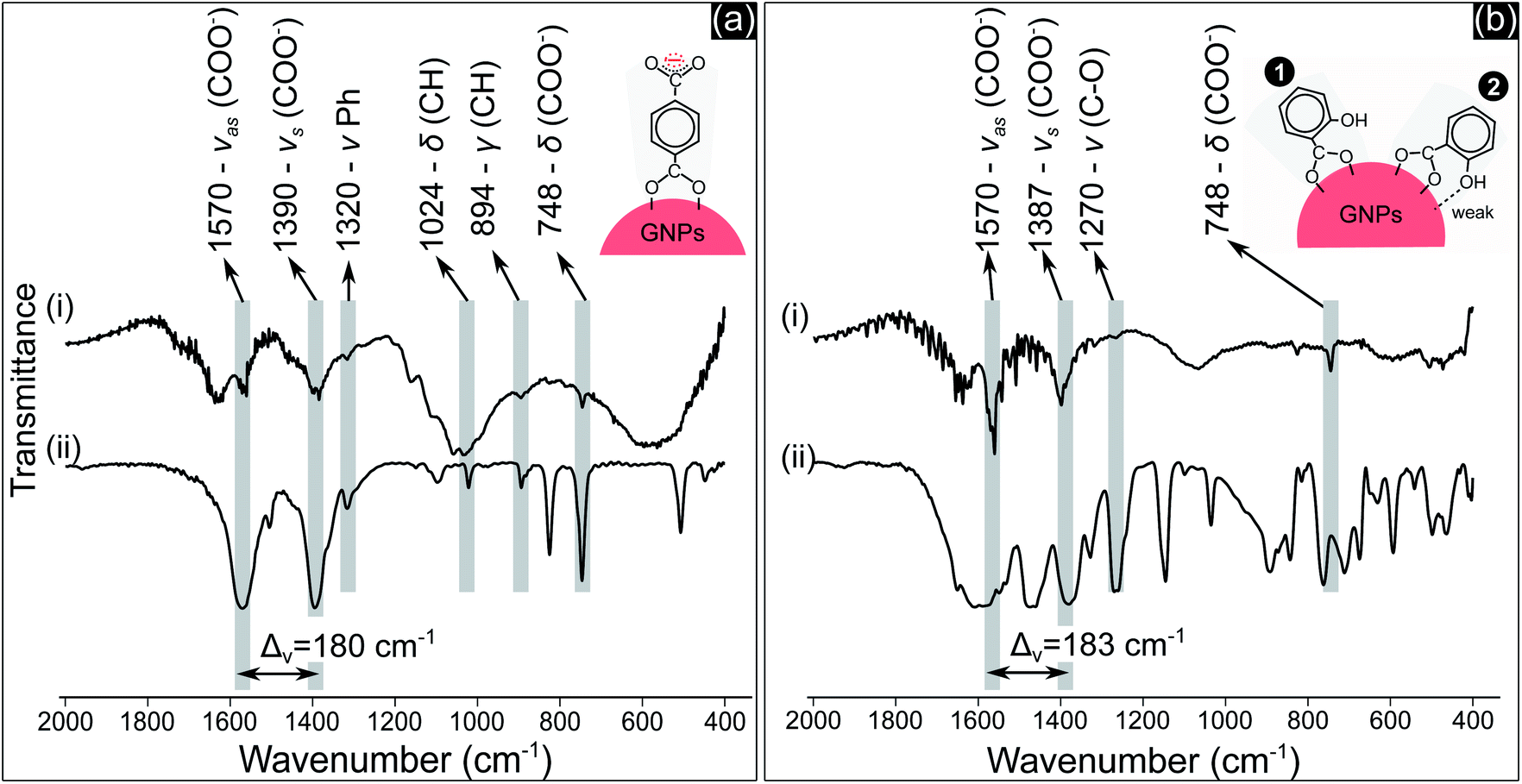 Precise size-control and functionalization of gold nanoparticles ...