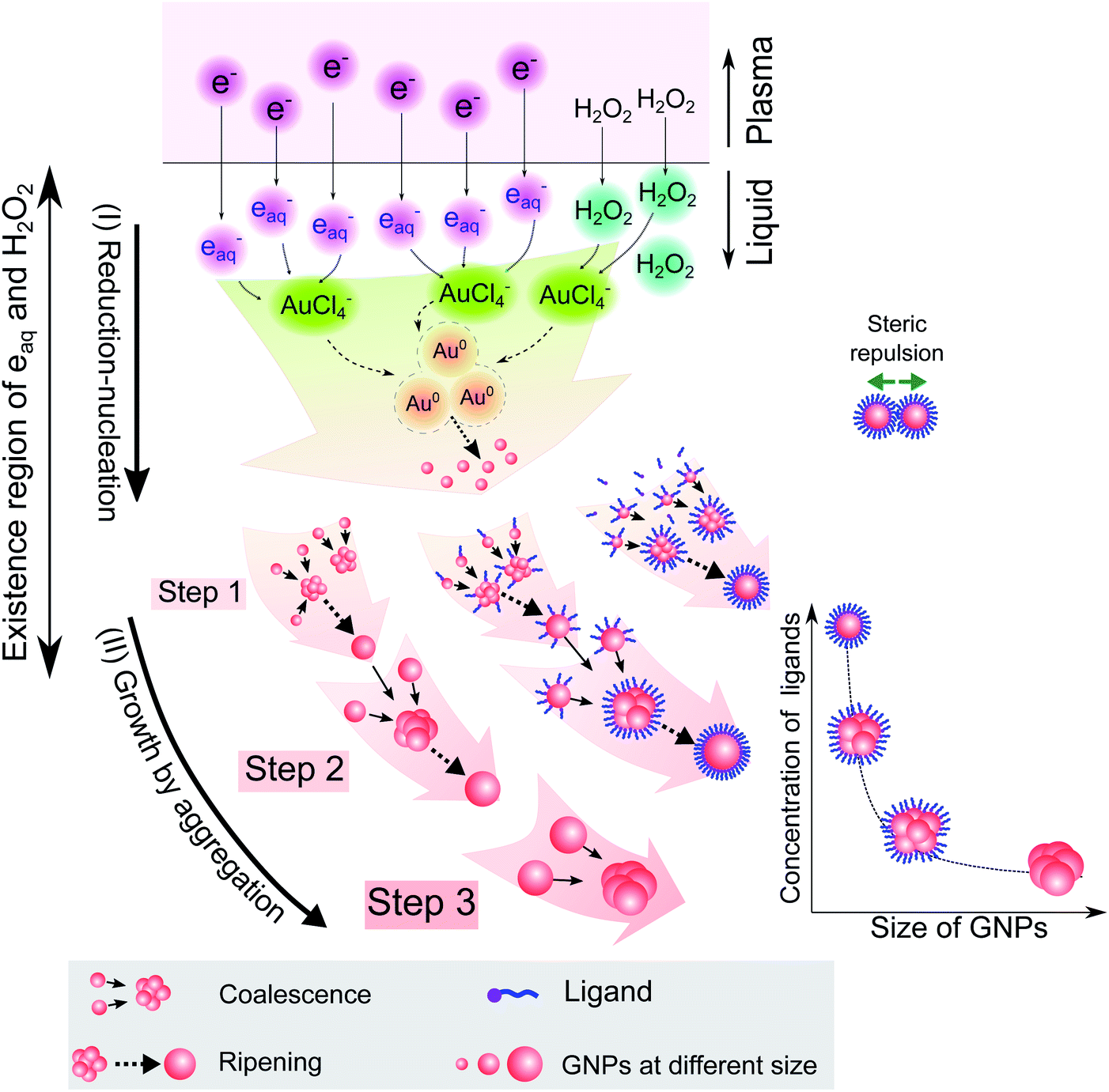 Precise size-control and functionalization of gold nanoparticles ...