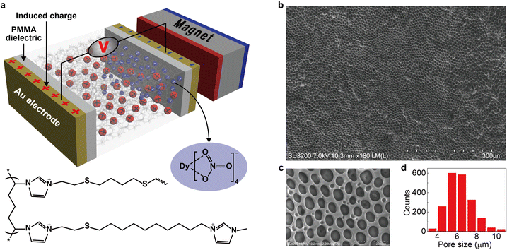 Magnetic-field-controlled counterion migration within polyionic liquid ...