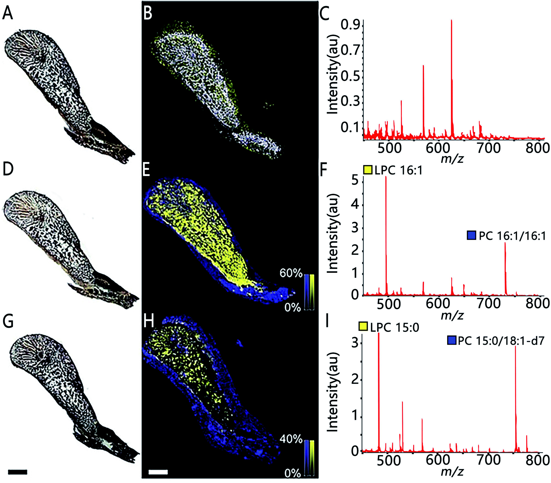 Image to insight: exploring natural products through mass spectrometry ...