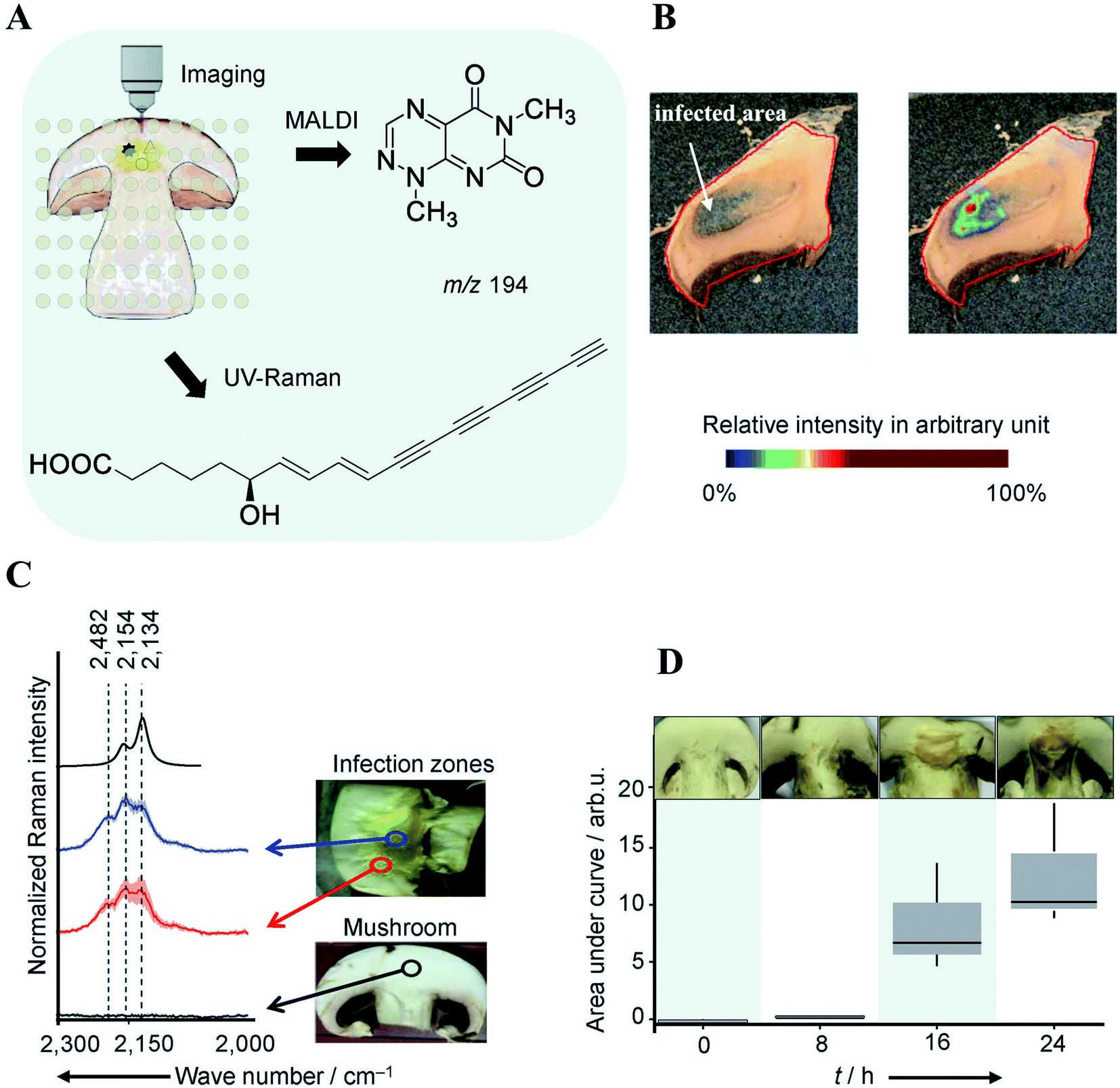 Image to insight: exploring natural products through mass spectrometry ...