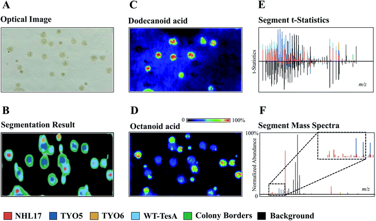 Image to insight: exploring natural products through mass spectrometry ...