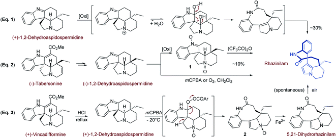 Rhazinilam–leuconolam family of natural products: a half century of ...