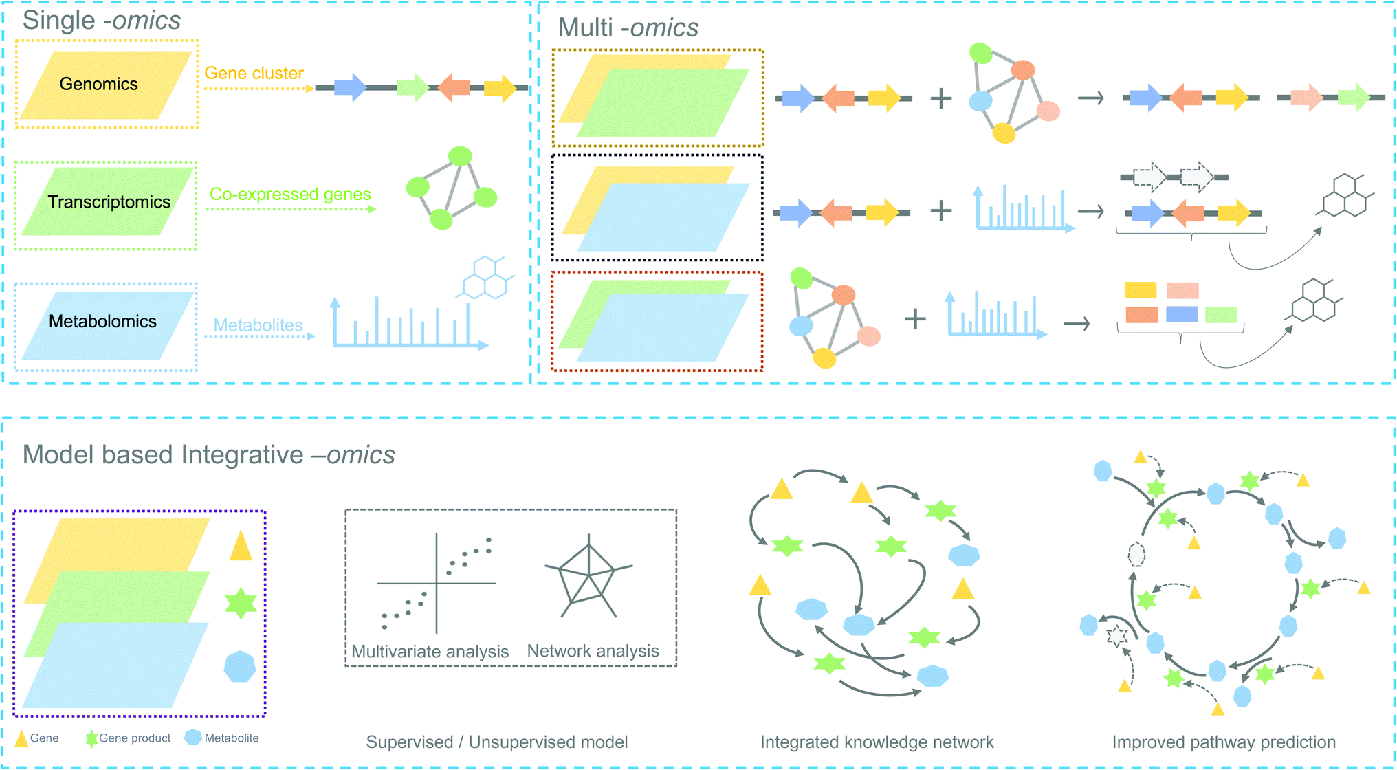 Integrative omics approaches for biosynthetic pathway discovery in ...