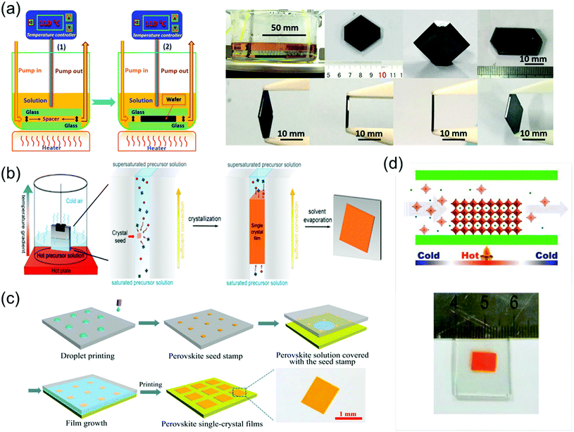 Halide perovskite single crystals: growth, characterization, and ...