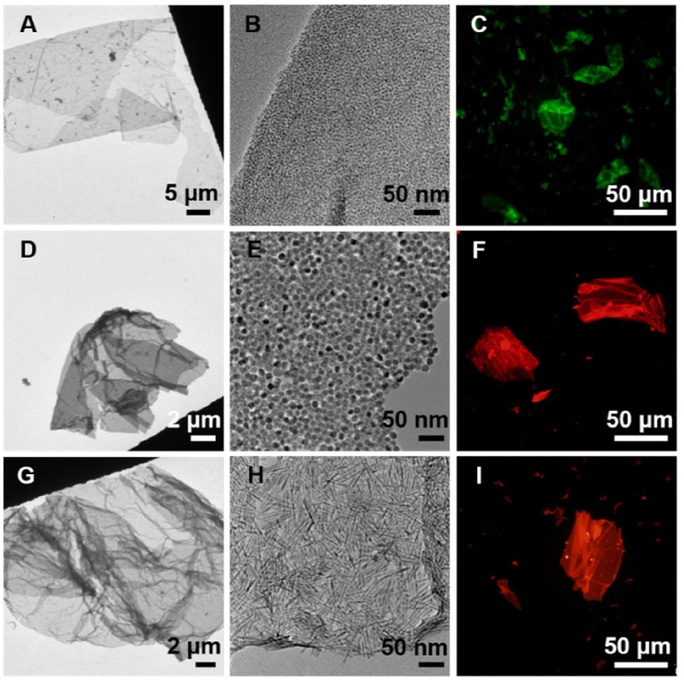 Free-standing two-dimensional sheets of polymer-linked nanoparticles ...