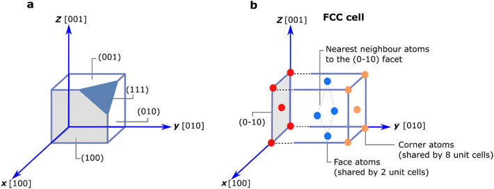 The role of crystal facets and disorder on photo-electrosynthesis ...