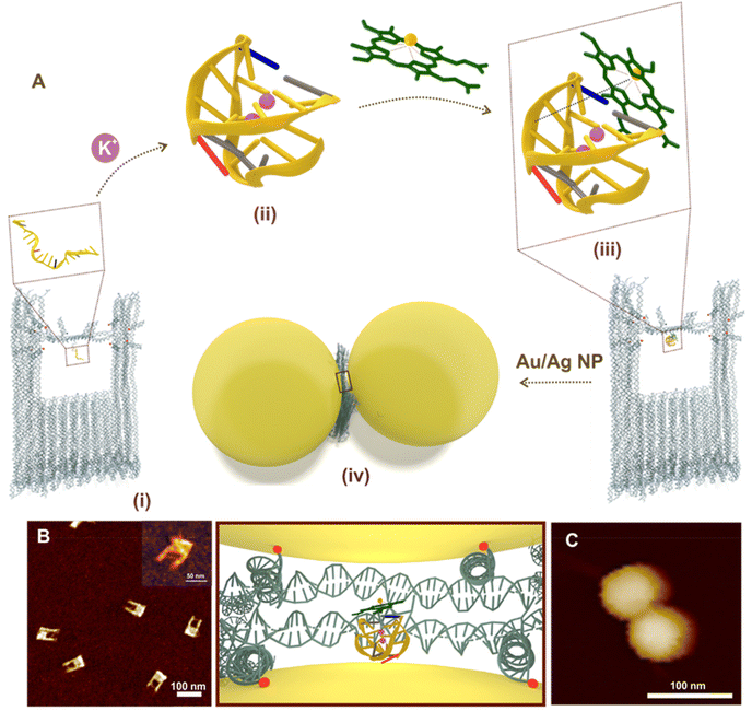 Molecular states and spin crossover of hemin studied by DNA origami ...