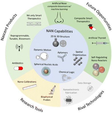Synthesizing the biochemical and semiconductor worlds: the future of ...