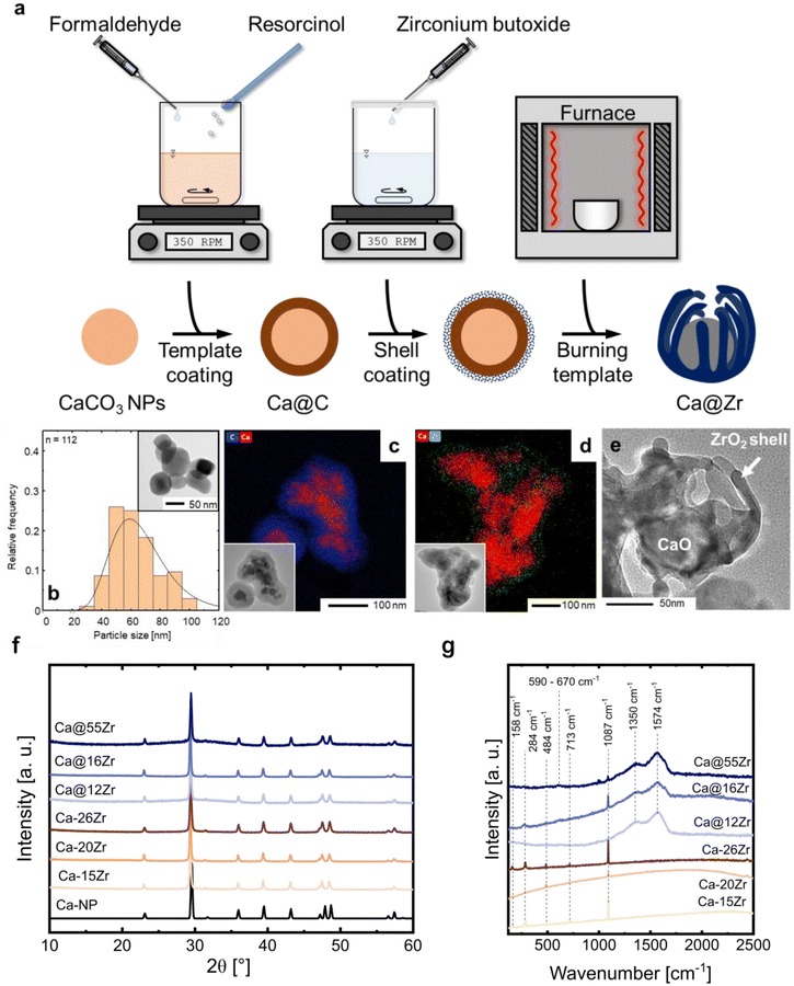 Yolk–shell-type CaO-based sorbents for CO 2 capture: assessing the role ...