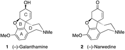 Biomimetic total synthesis of (−)-galanthamine via intramolecular ...