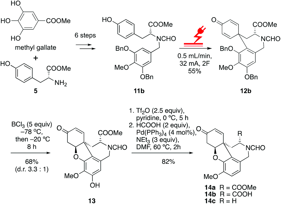 Biomimetic total synthesis of (−)-galanthamine via intramolecular ...