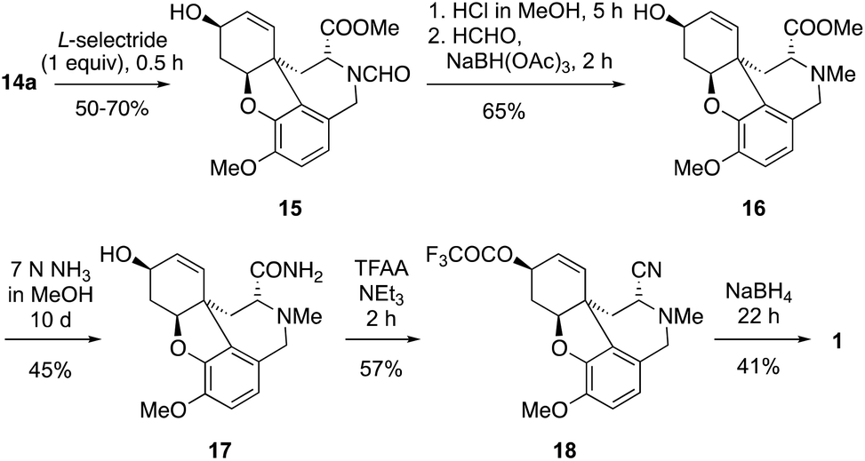 Biomimetic total synthesis of (−)-galanthamine via intramolecular ...