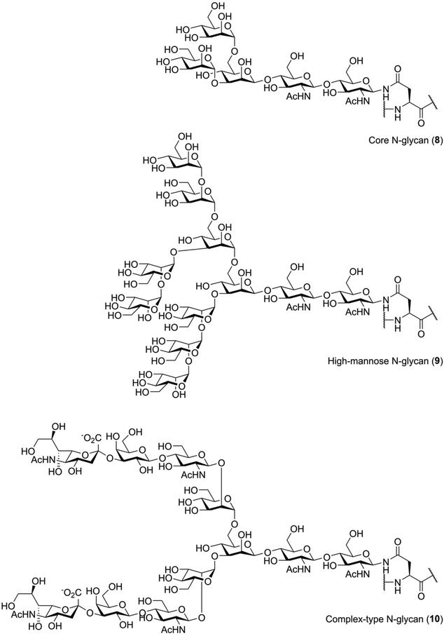 Synthesis of glycopeptides and glycopeptide conjugates - Organic ...