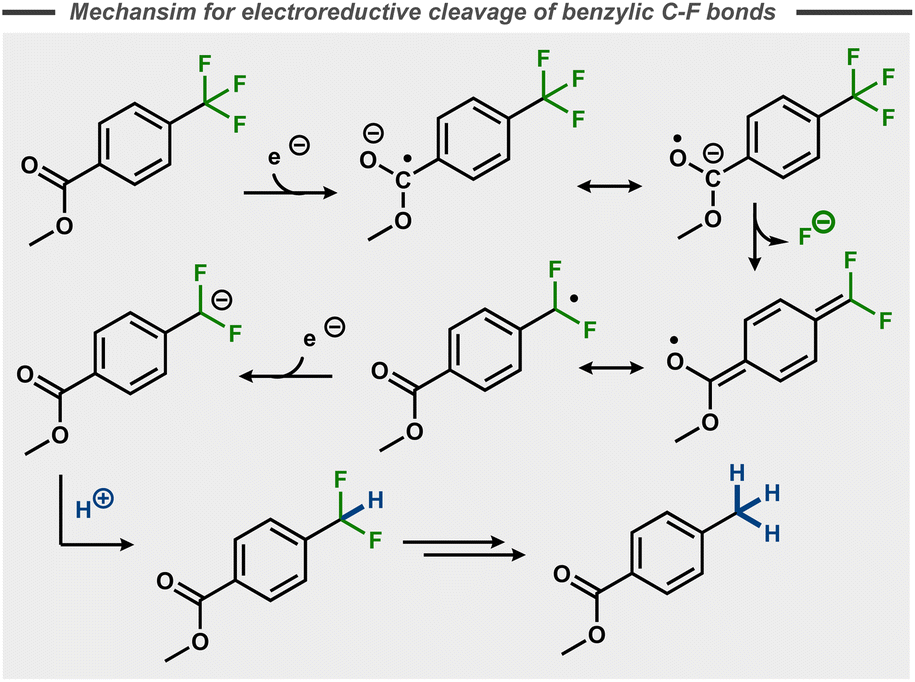 Electrosynthetic C–F bond cleavage - Organic & Biomolecular Chemistry ...