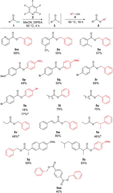 One-pot ester and thioester formation mediated by pentafluoropyridine ...