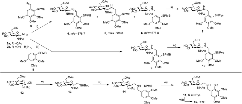 Investigation of acyl transfer auxiliary-assisted glycoconjugation for ...
