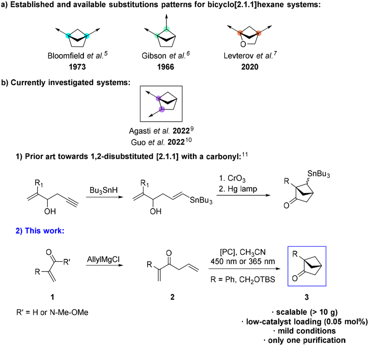 Preparation of new bicyclo[2.1.1]hexane compact modules: an opening ...