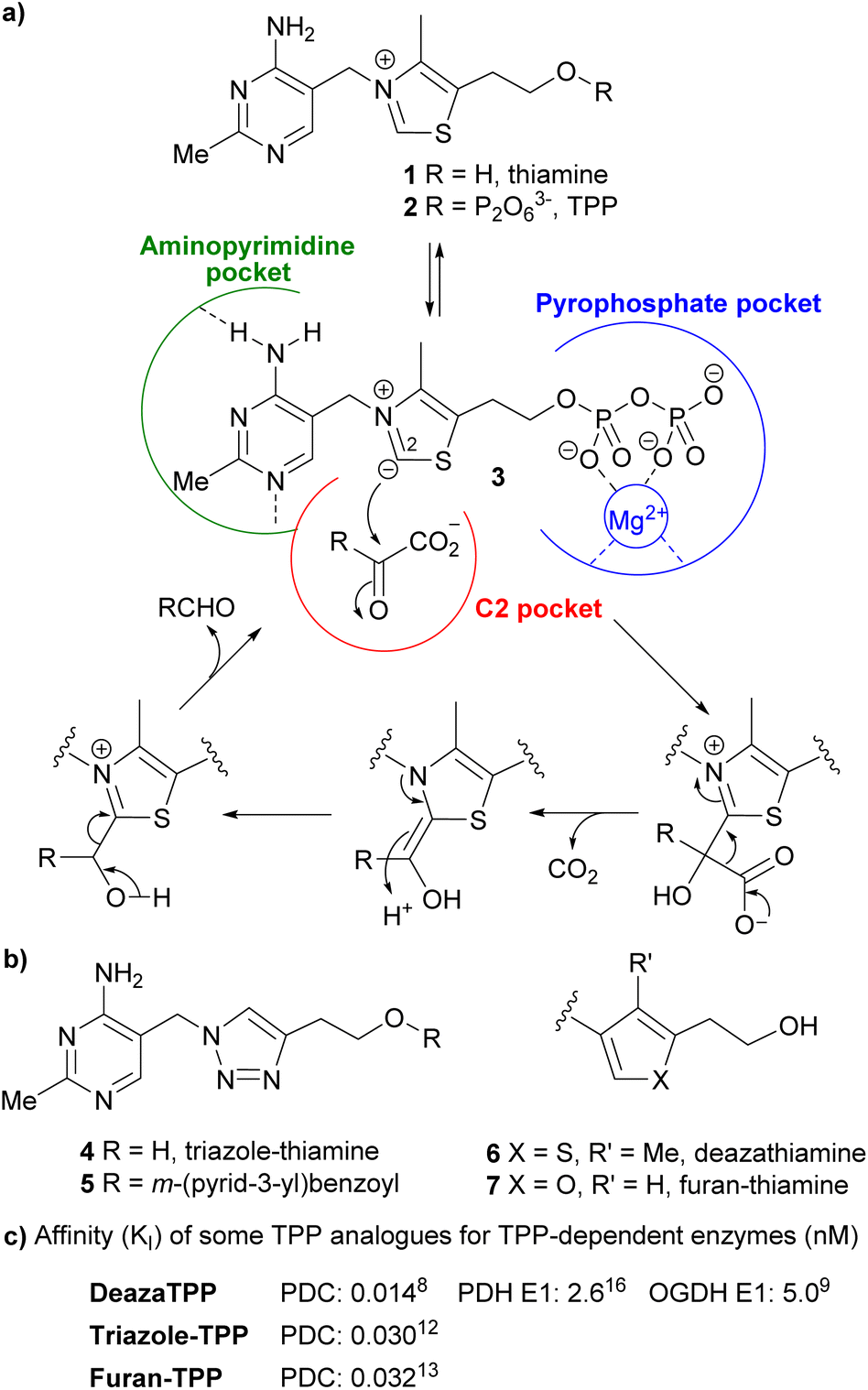 Synthesis of pyrrothiamine, a novel thiamine analogue, and evaluation of derivatives as potent ...