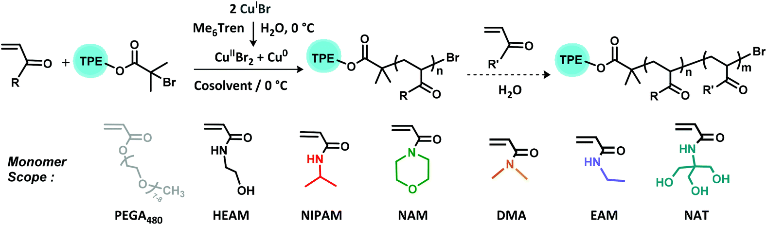 Well-defined polyacrylamides with AIE properties via rapid Cu-mediated ...