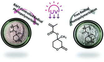On the photopolymerization of mevalonic lactone methacrylate: exposing ...