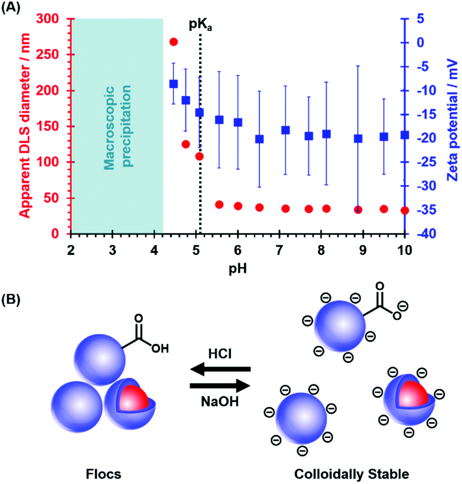 RAFT aqueous dispersion polymerization of 4-hydroxybutyl acrylate ...