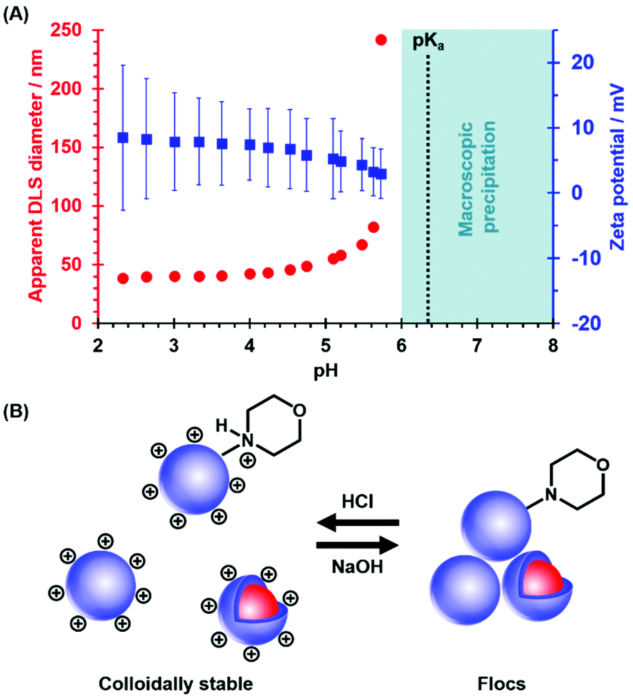 RAFT aqueous dispersion polymerization of 4-hydroxybutyl acrylate ...