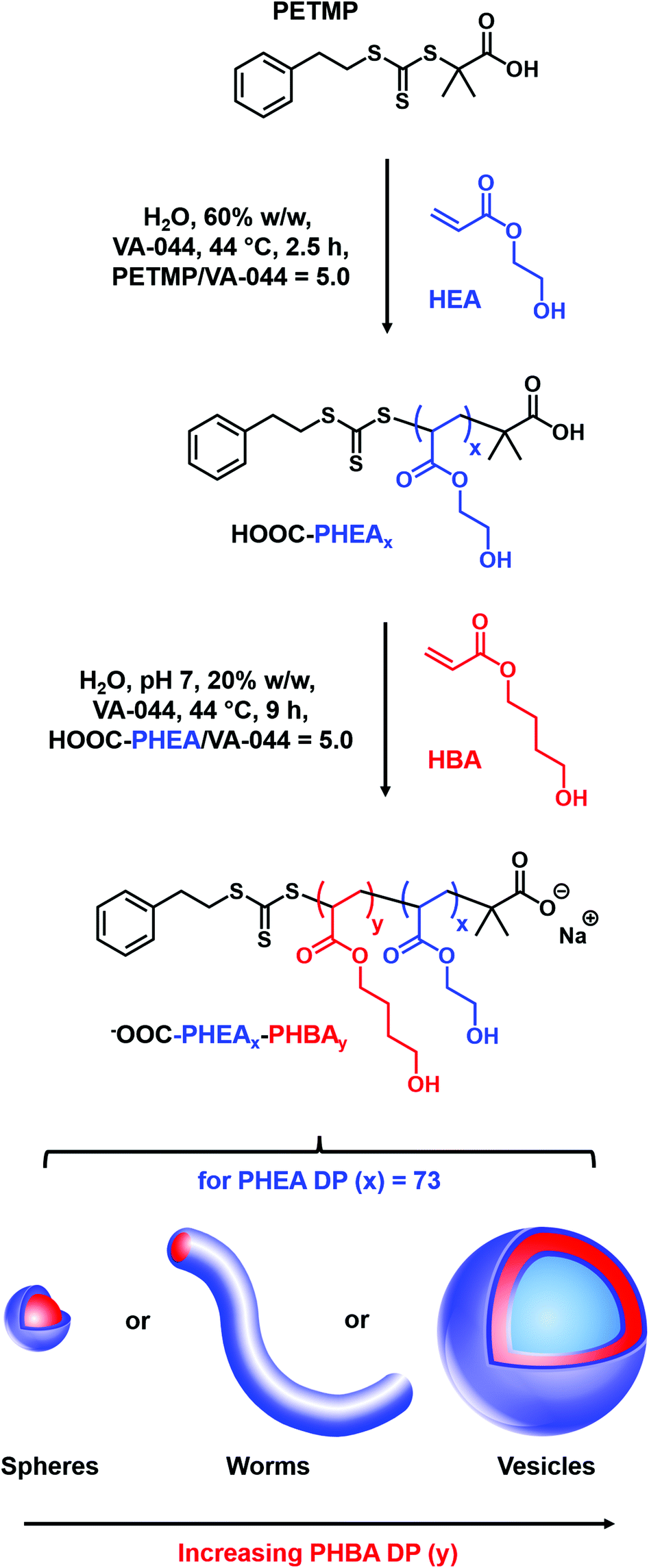 RAFT aqueous dispersion polymerization of 4-hydroxybutyl acrylate ...