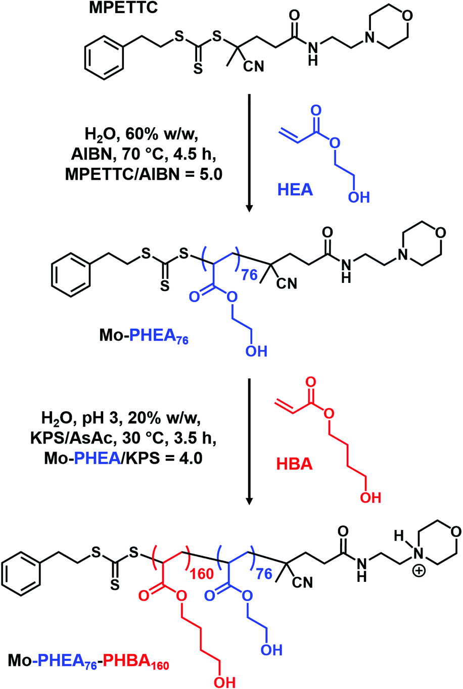 RAFT aqueous dispersion polymerization of 4-hydroxybutyl acrylate ...