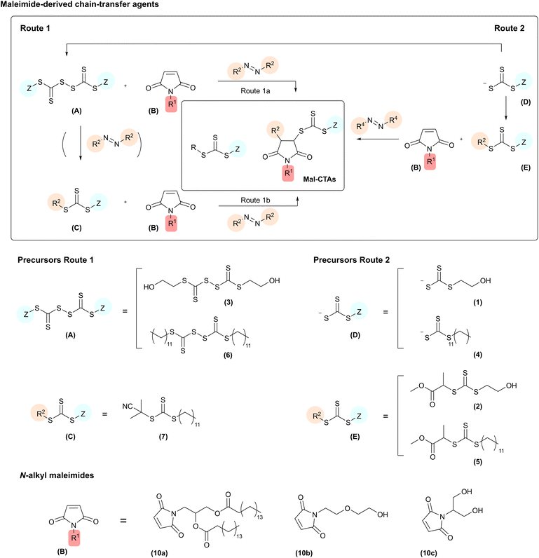 Direct routes to functional RAFT agents from substituted N -alkyl ...