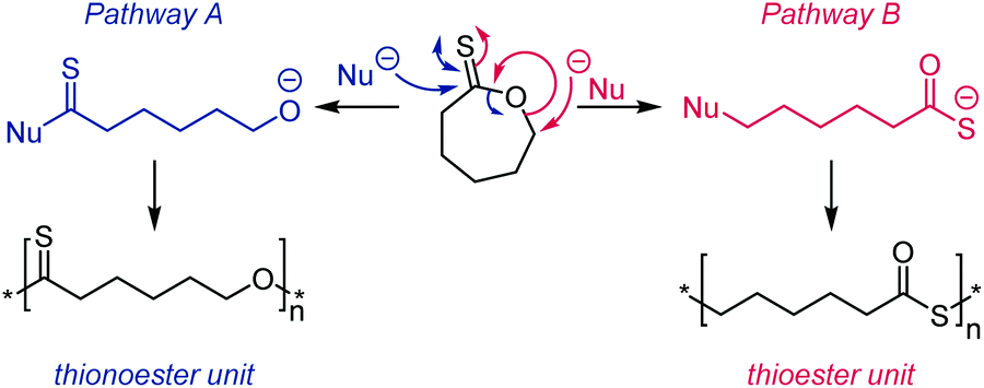 Thiocarbonyl chemistry in polymer science - Polymer Chemistry (RSC ...