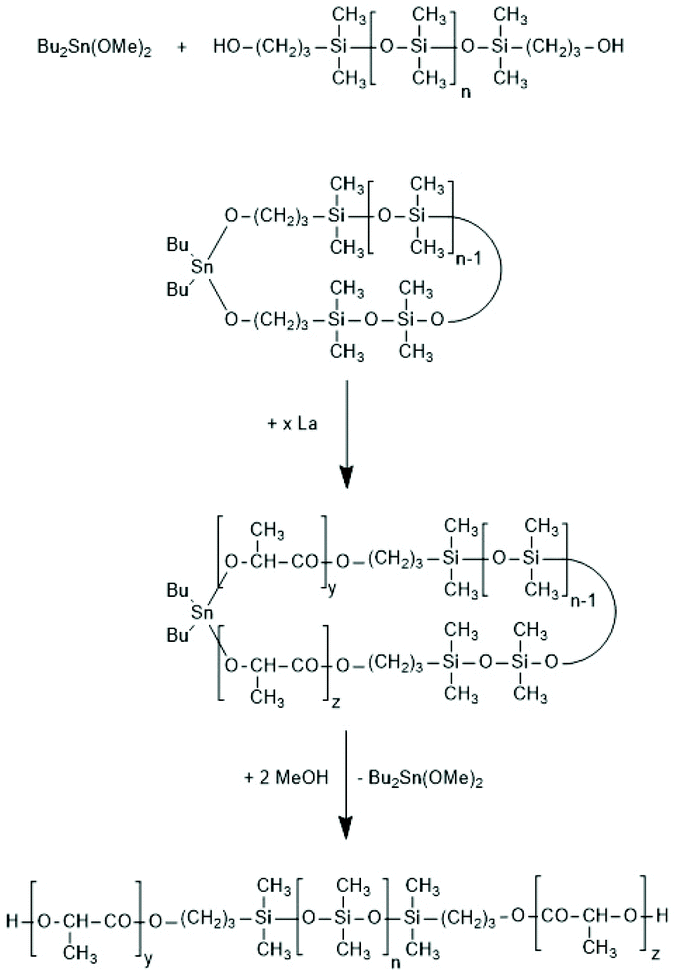 Syntheses of polylactides by means of tin catalysts - Polymer Chemistry ...