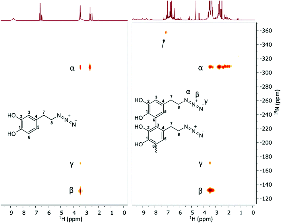 Replacing amine by azide: dopamine azide polymerization triggered by ...