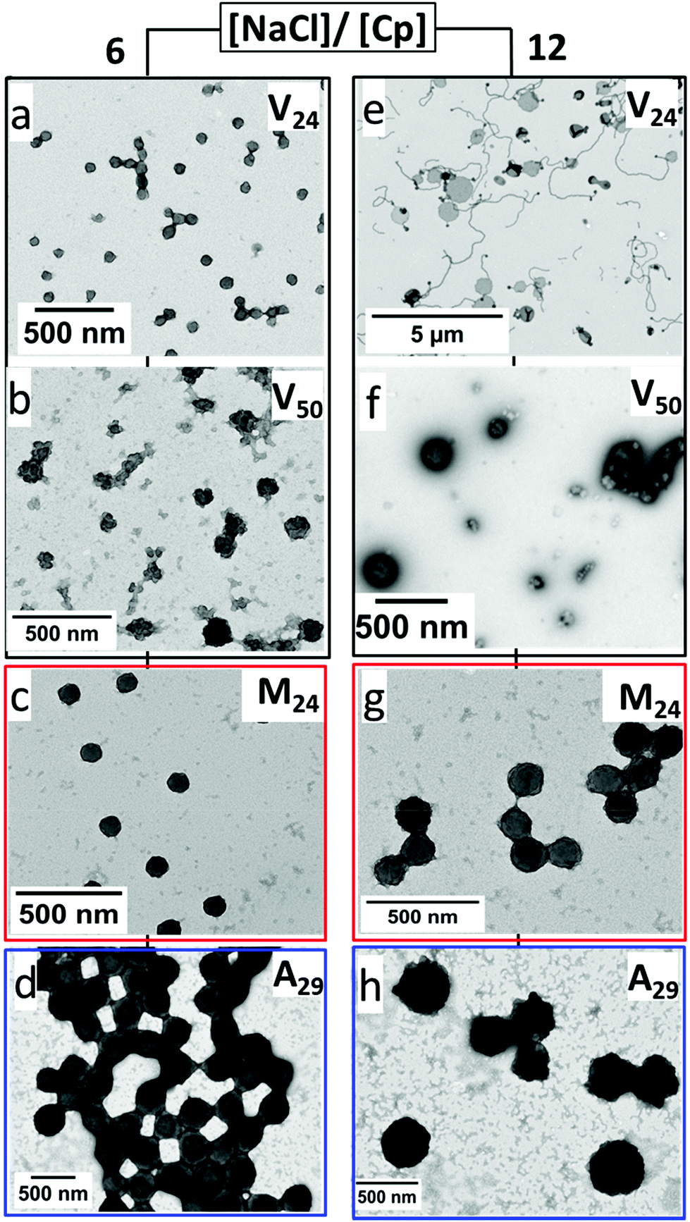 Morphological transitions of cationic PISA particles by salt, triflate ...