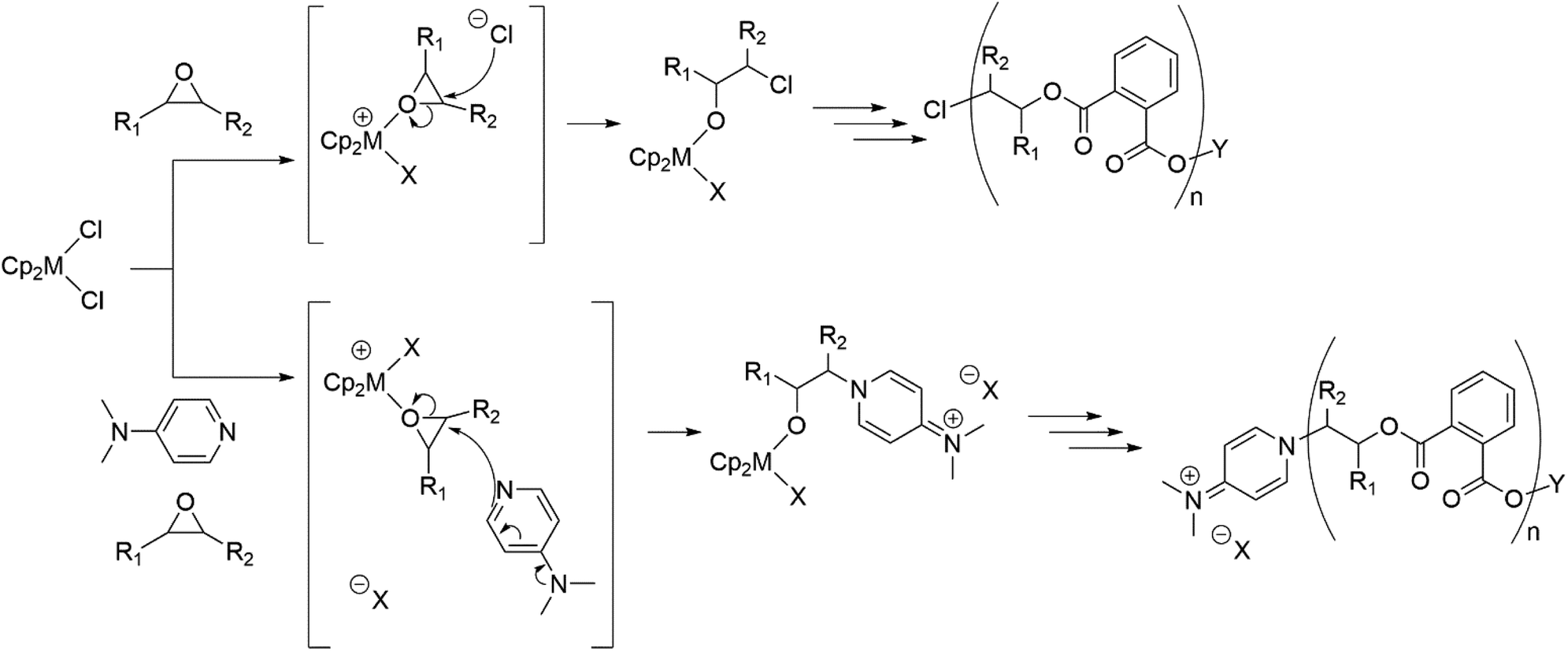 Metallocene catalysts for the ring-opening co-polymerisation of ...