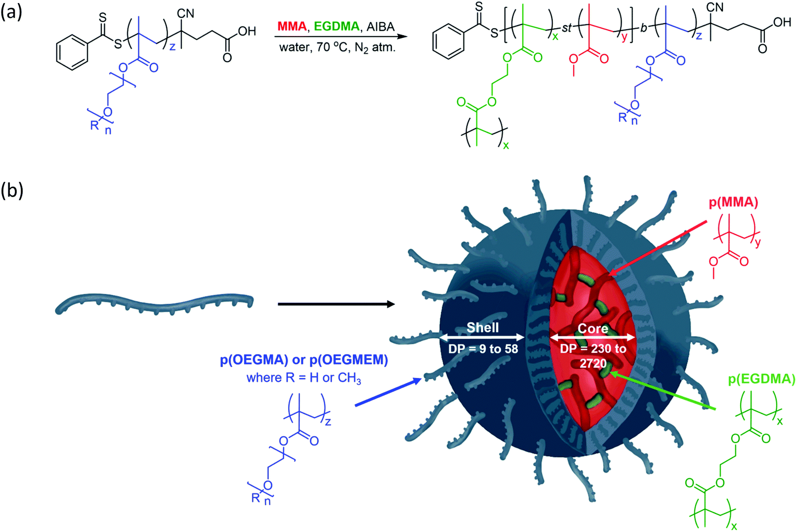 Crosslinked p(MMA) particles by RAFT emulsion polymerisation: tuning ...