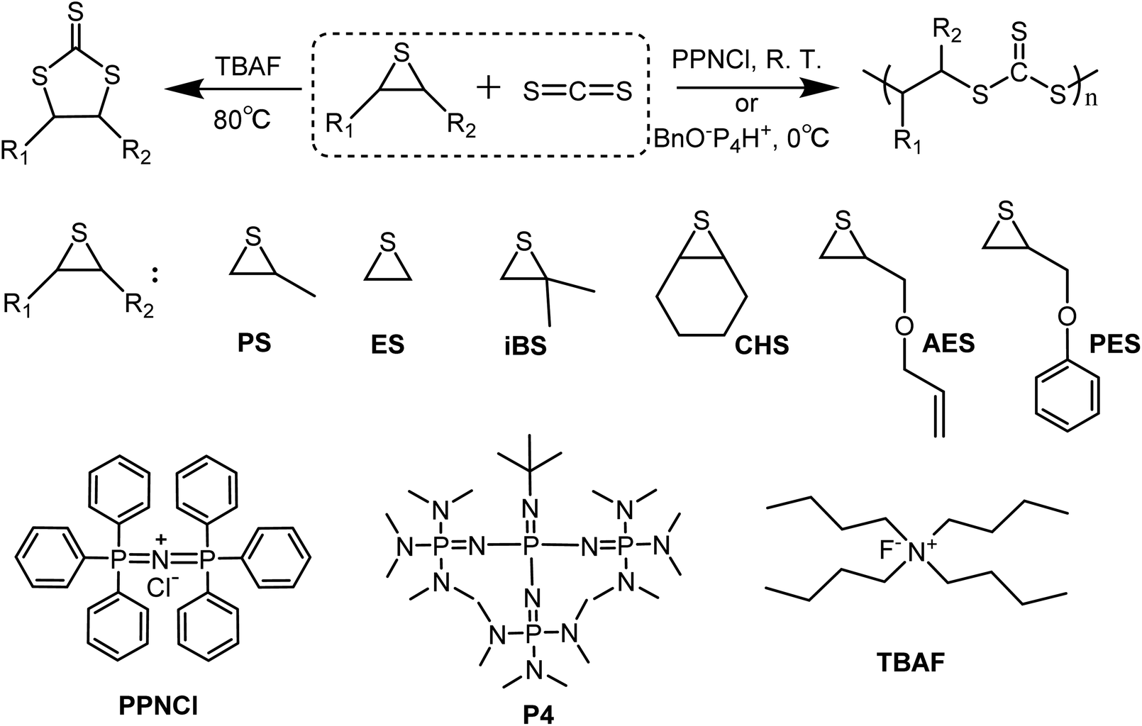 Organocatalytic selective coupling of episulfides with carbon disulfide ...