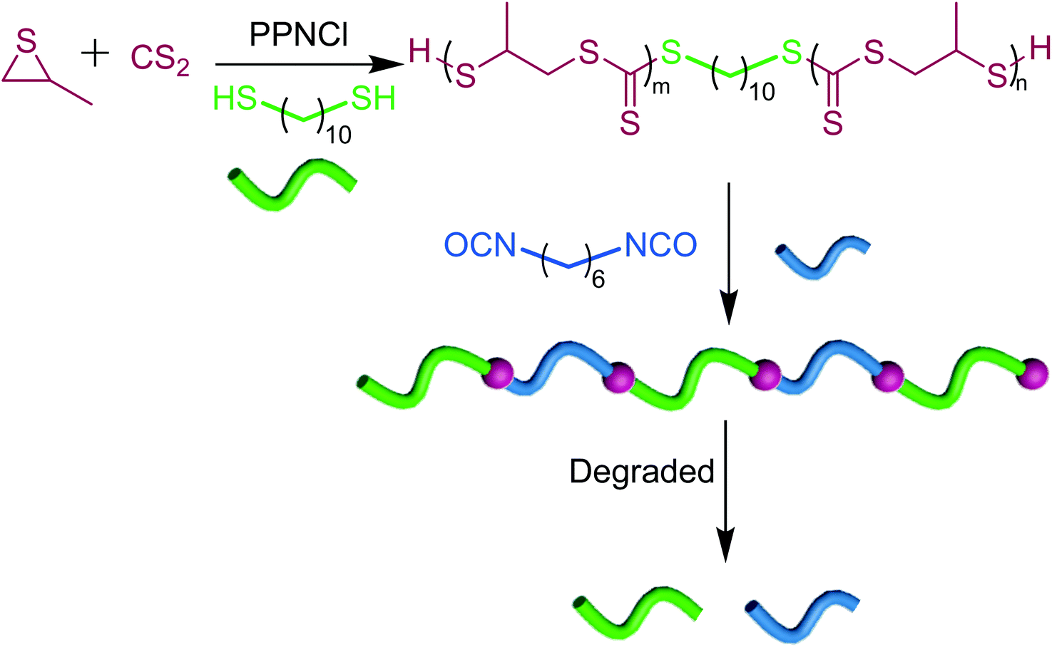 Organocatalytic selective coupling of episulfides with carbon disulfide ...