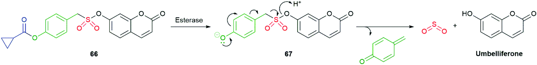 Recent advances in self-immolative linkers and their applications in ...