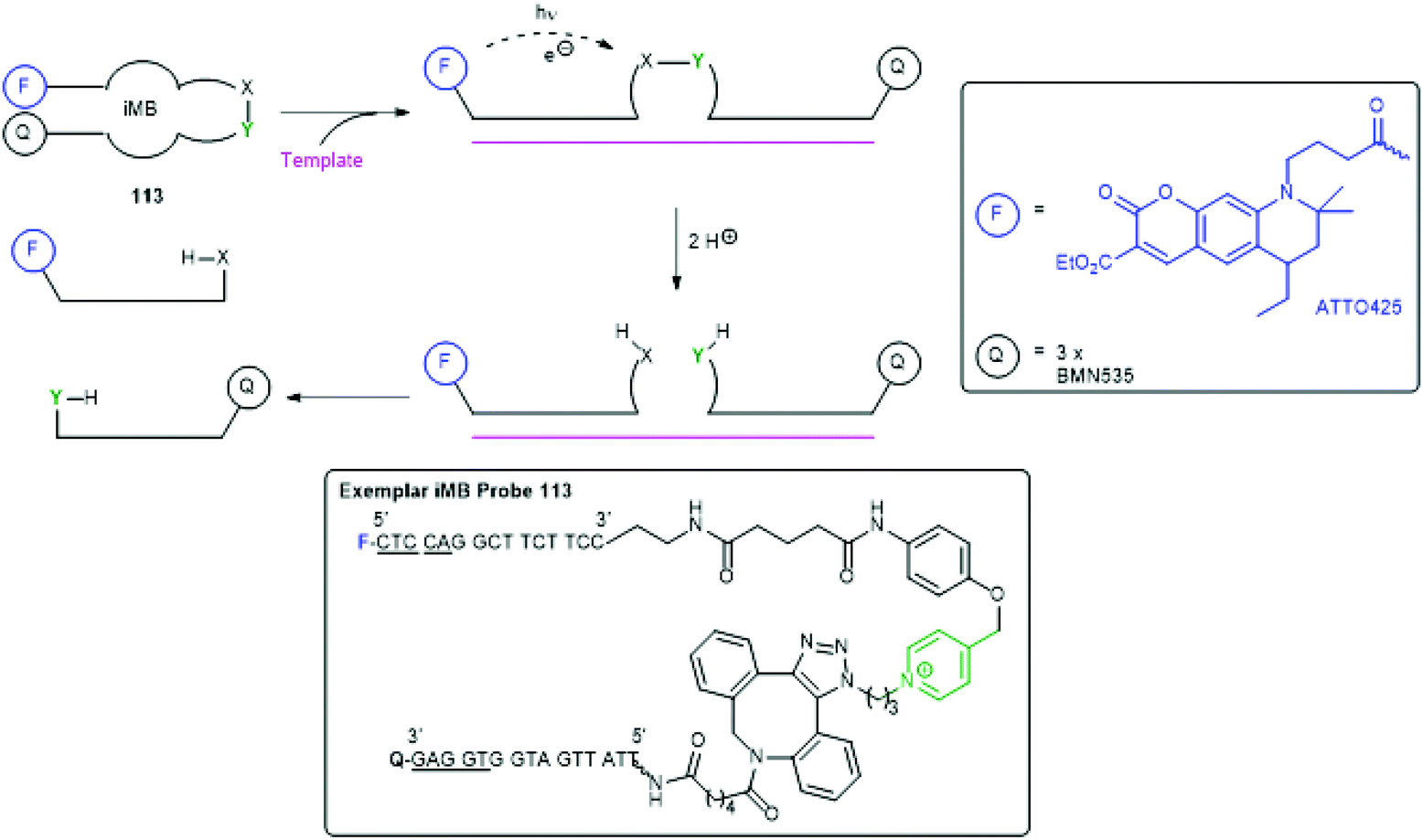 Recent advances in self-immolative linkers and their applications in ...