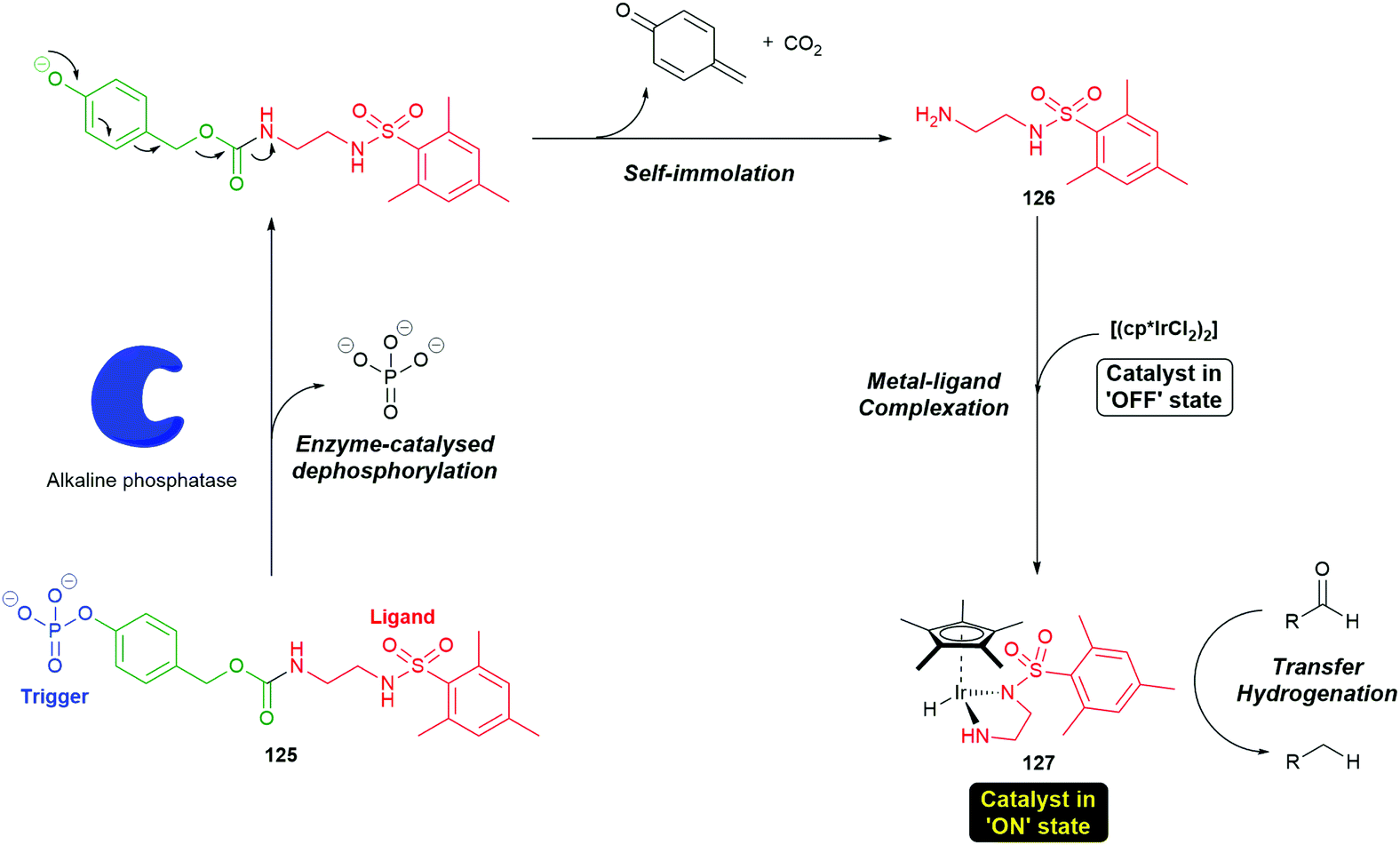 Recent advances in self-immolative linkers and their applications in ...
