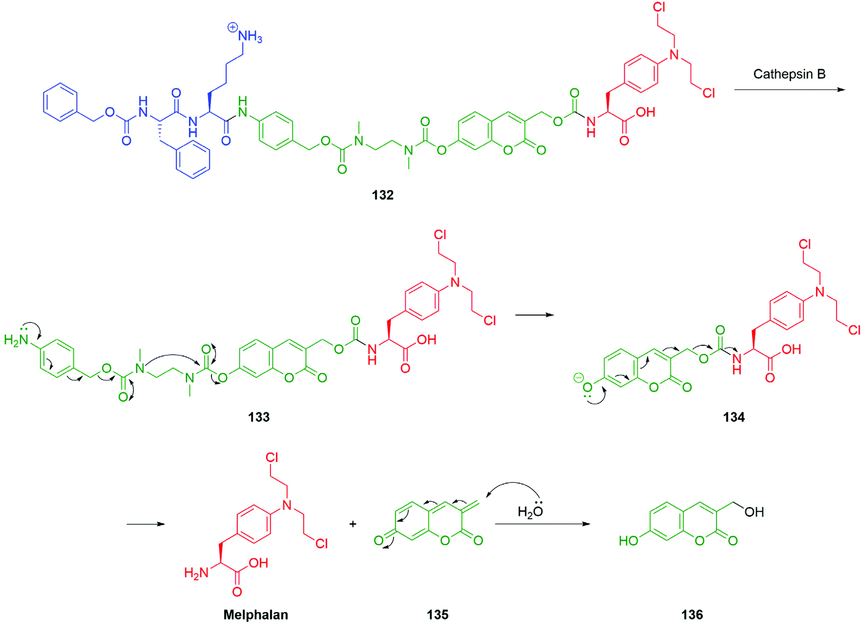 Recent advances in self-immolative linkers and their applications in ...