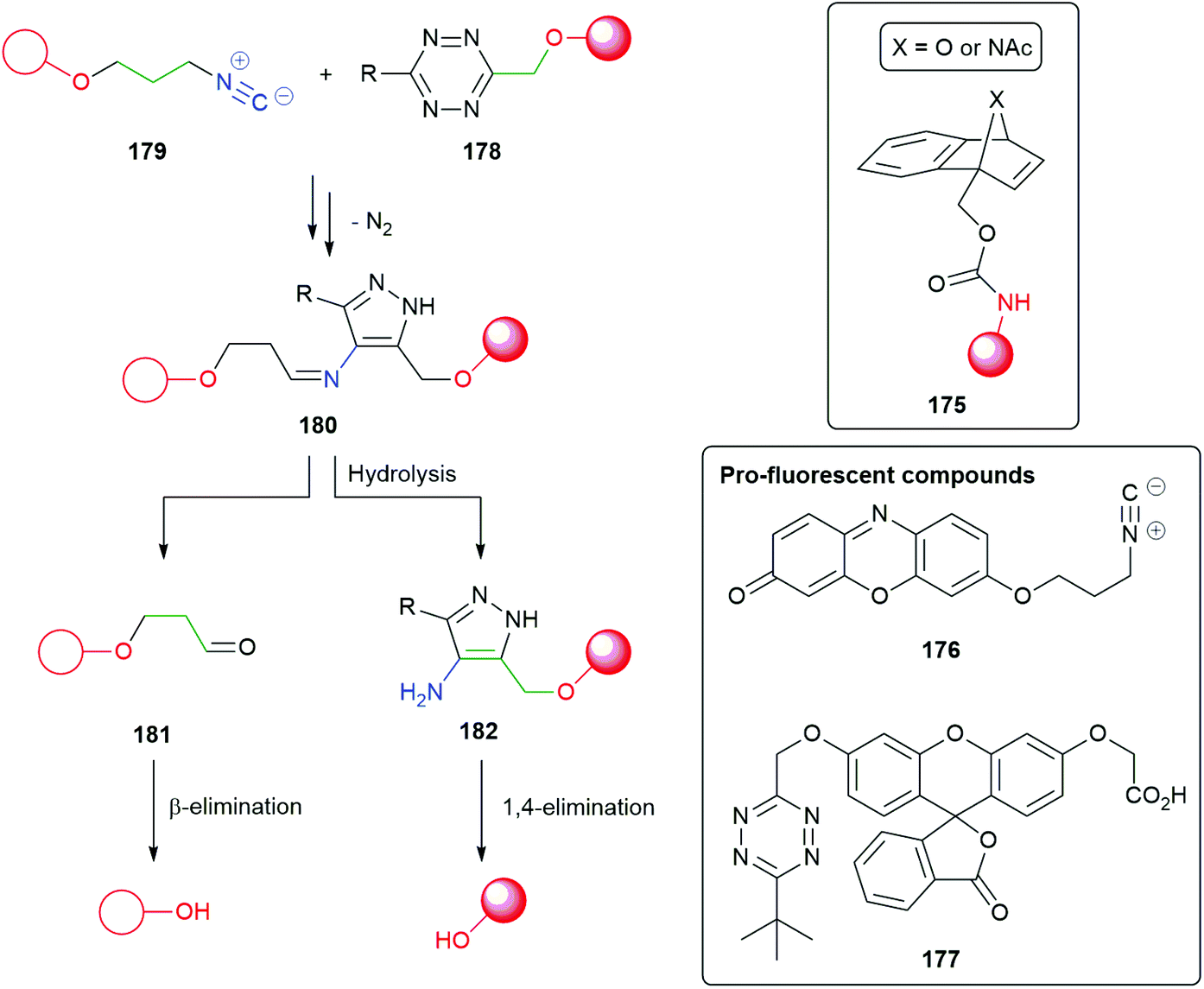 Recent advances in self-immolative linkers and their applications in ...