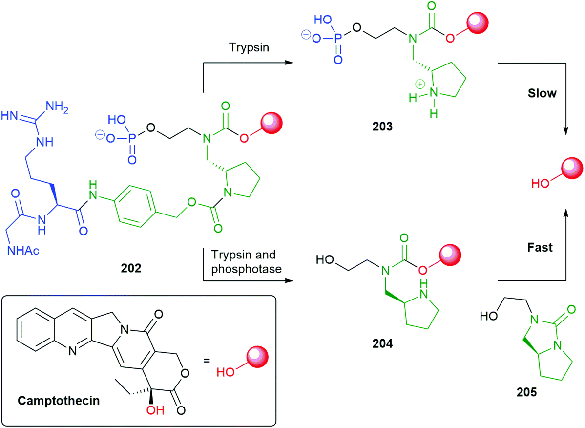 Recent advances in self-immolative linkers and their applications in ...