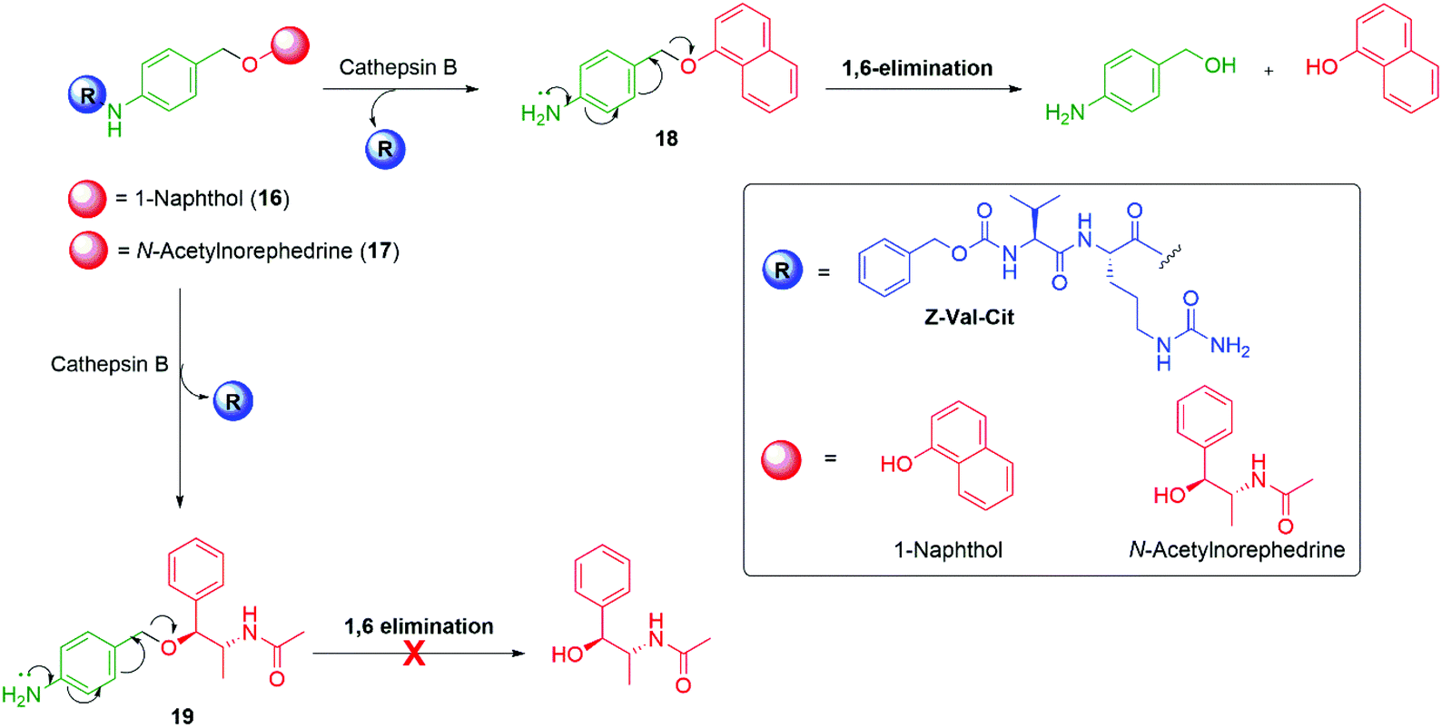 Recent advances in self-immolative linkers and their applications in ...