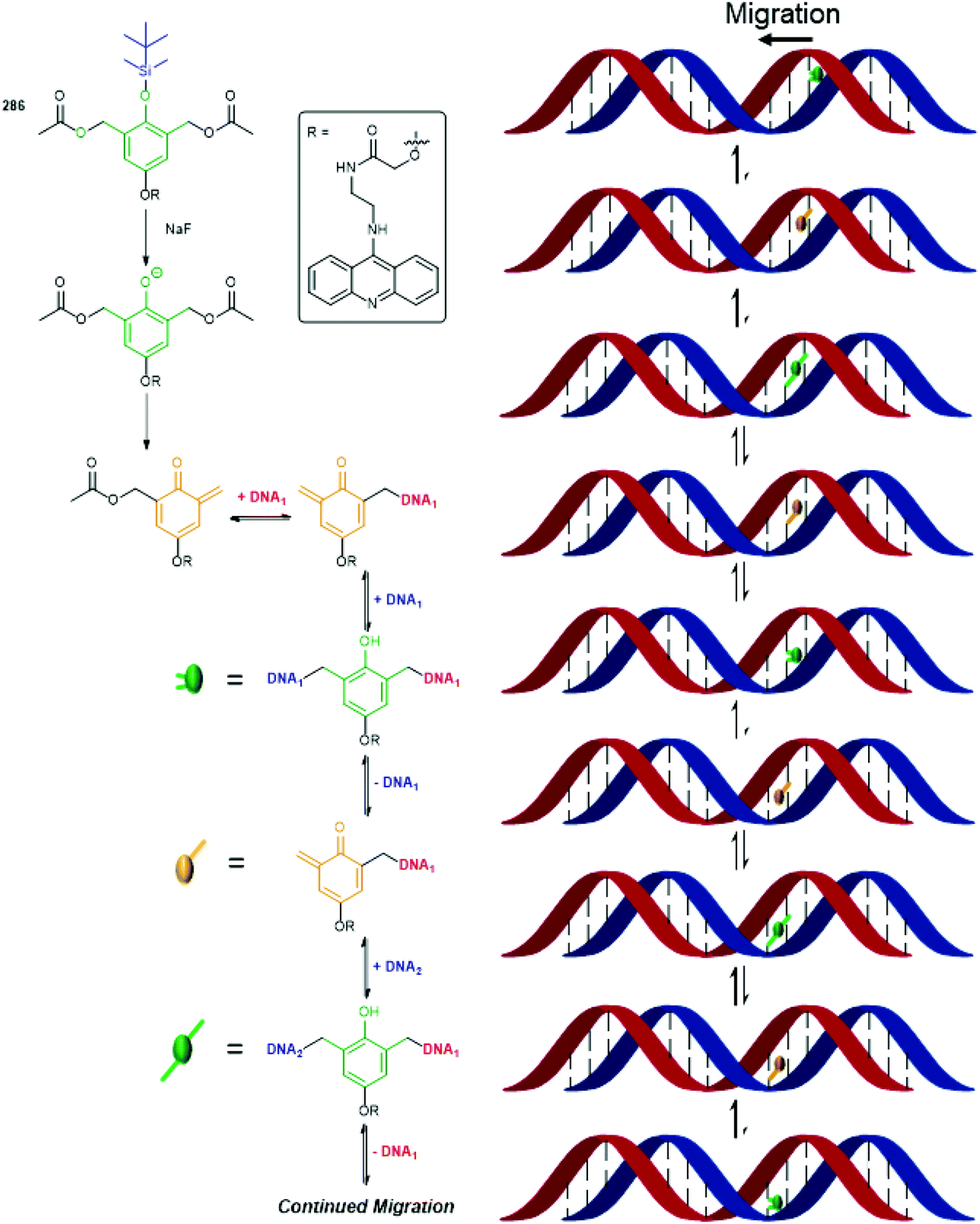 Recent advances in self-immolative linkers and their applications in ...