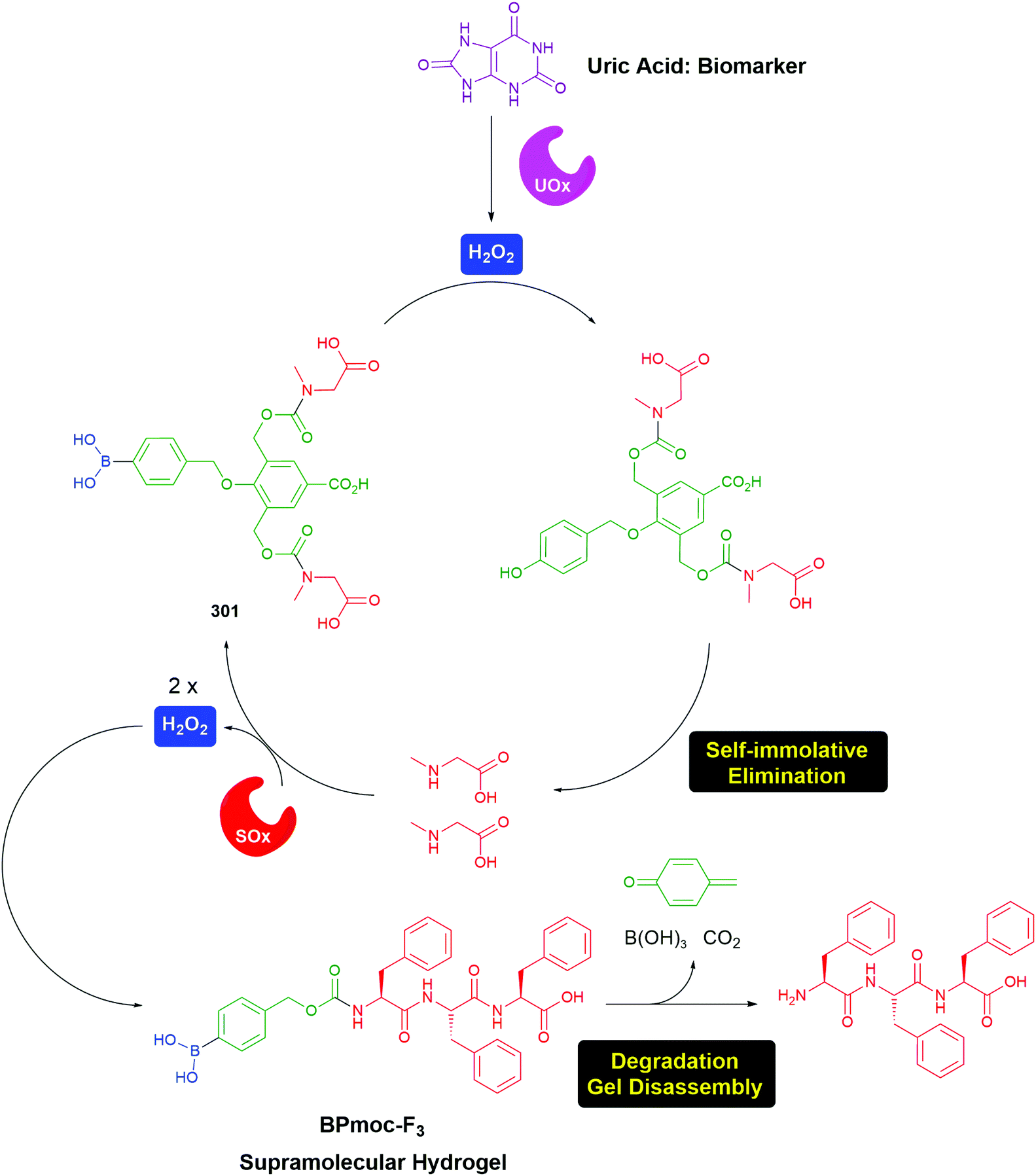 Recent advances in self-immolative linkers and their applications in ...