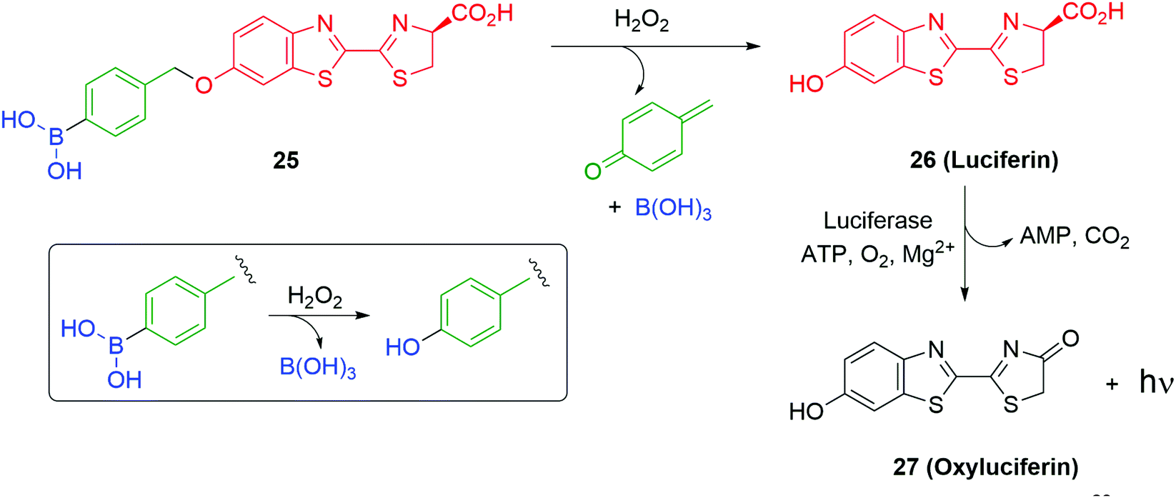Recent advances in self-immolative linkers and their applications in ...